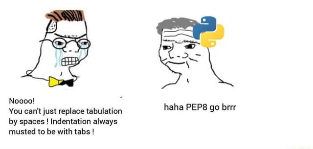 Noooo You Cant Just Replace Tabulation By Spaces Indentation Always Musted To Be With Tabs