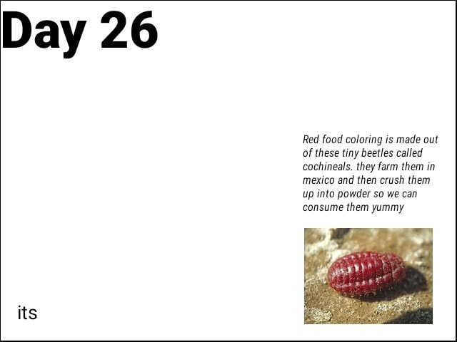 Day 26 its Red food coloring is made out of these tiny beetles called ...