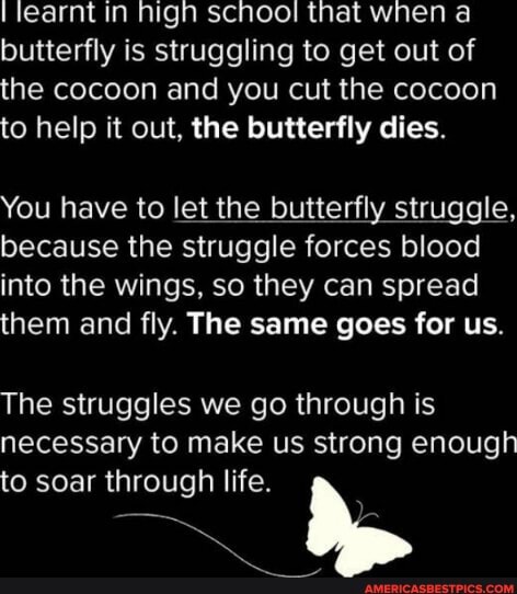 Learnt in high school that when a butterfly is struggling to get out of ...