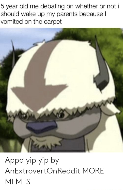 Appa yip yip by AnExtrovertOnReddit MORE MEMES - year old me debating on whether or not i should ...
