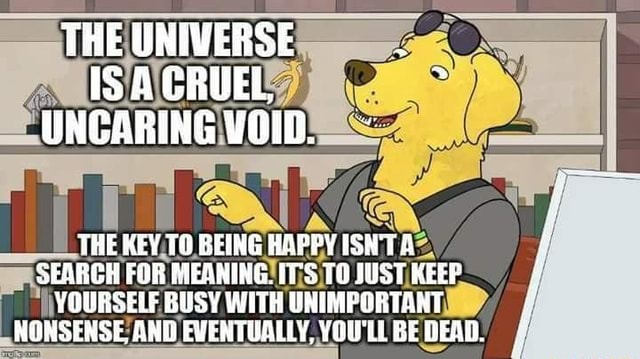 Positive Memes - THE UNIVERSE IS A GRUEL, UNGARING VOID. THE KEY TO ...