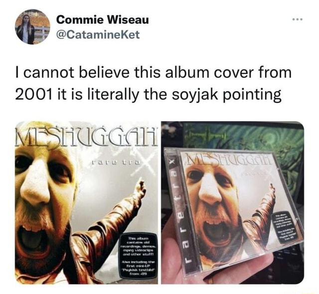 Commie Wiseau @CatamineKet I cannot believe this album cover from 2001 ...