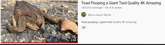 Toad Pooping a Giant Turd Quality Amazing 103 010 visningar for 4 ar ...
