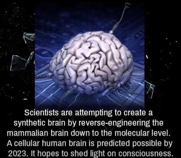 Scientists are attempting to create a synthetic brain by reverse ...