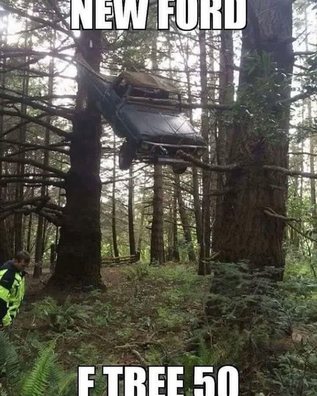 SIA ida, ELI TREE - iFunny