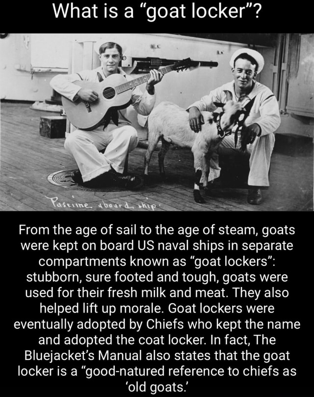 What is a "goat locker"? From the age of sail to the age of steam ...