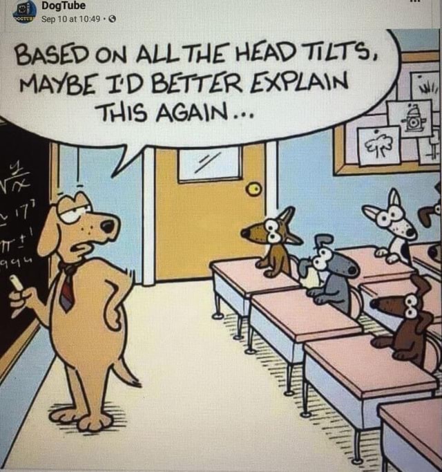 BASED ON ALL THE HEAD TILTS, MAYBE I'D BETTER EXPLAIN THIS AGAIN ...