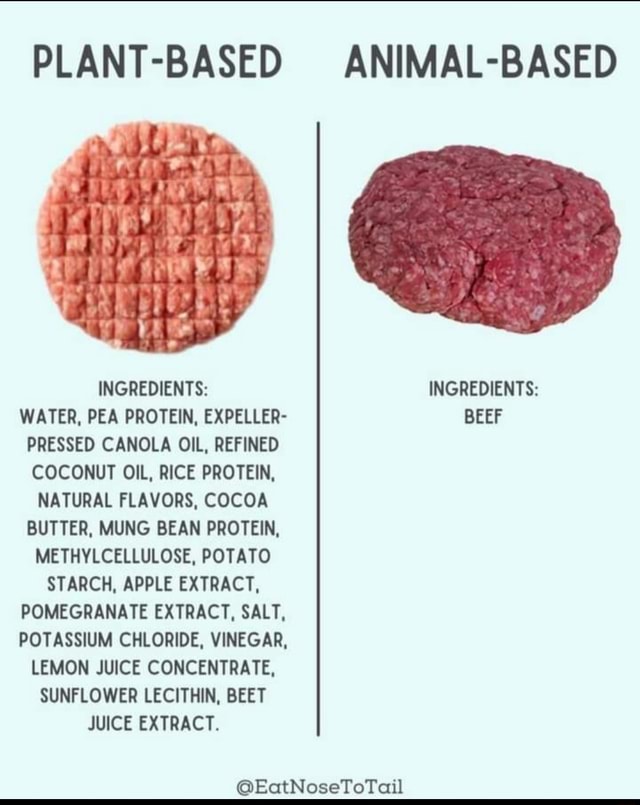 PLANT-BASED wy INGREDIENTS: WATER, PEA PROTEIN, EXPELLER- BEEF PRESSED ...