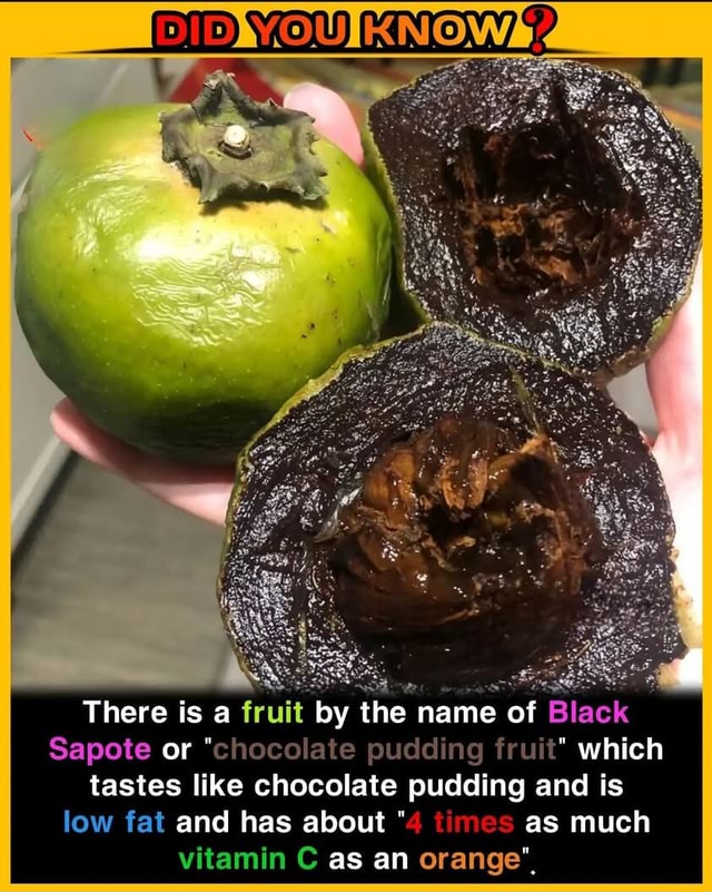 There is a fruit by the name of Black Sapote or "chocolate pudding ...
