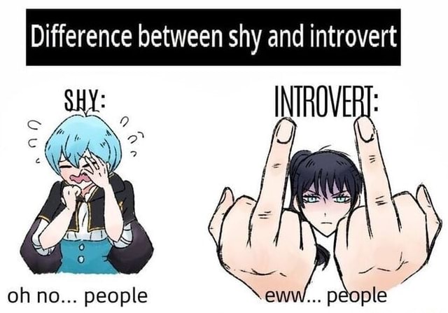 Difference between shy and introvert oh no... people - iFunny