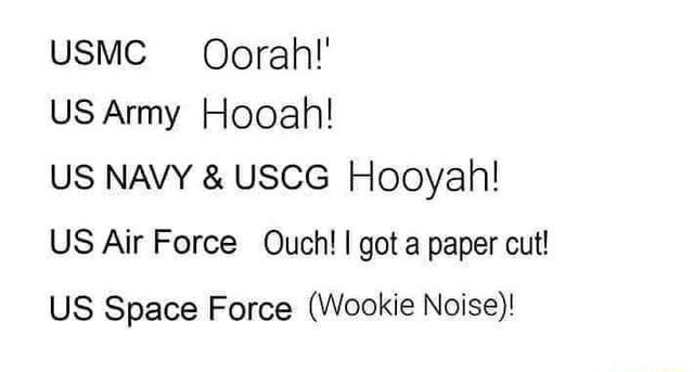 USMC Oorah!' US Army Hooah! US NAVY & USCG Hooyah! US Air Force Ouch ...