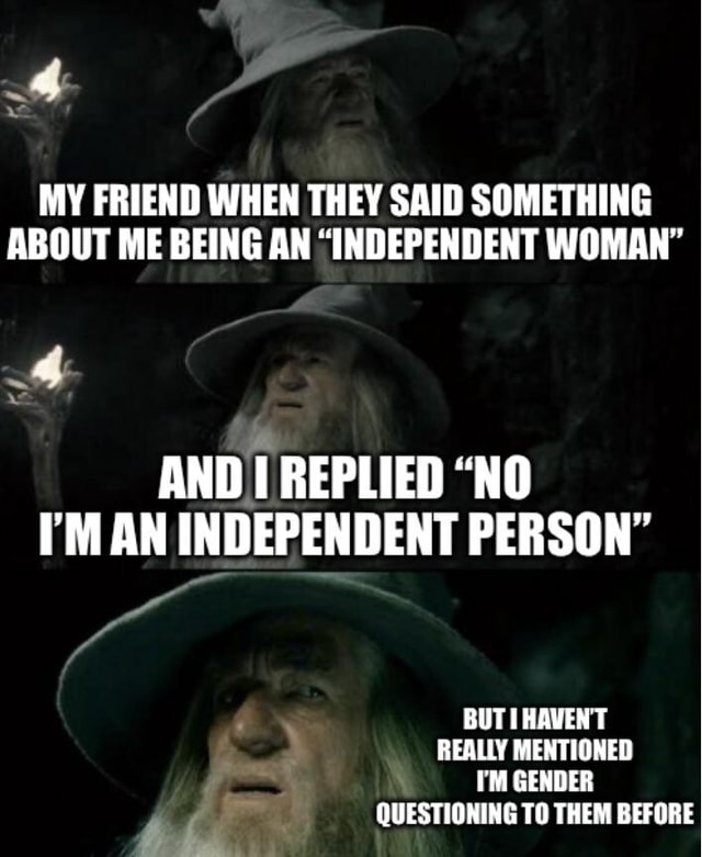 MY FRIEND WHEN THEY SAID SOMETHING ABOUT ME BEING AN "INDEPENDENT WOMAN ...