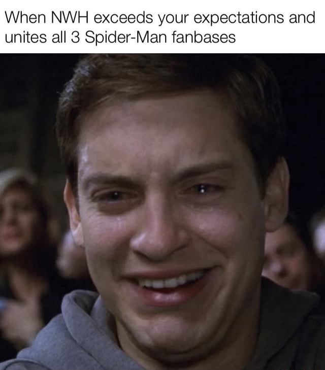 When NWH exceeds your expectations and unites all 3 Spider-Man fanbases ...