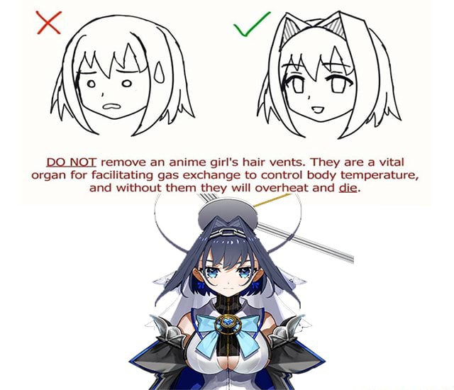 NOT remove an anime girl's hair vents. They are vital organ for ...