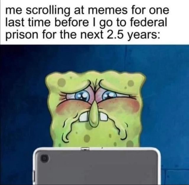 Me scrolling at memes for one last time before I go to federal prison ...