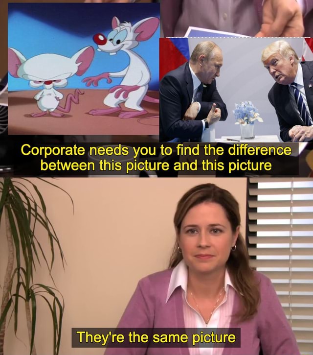 Corporate needs you to find the difference between this picture and ...