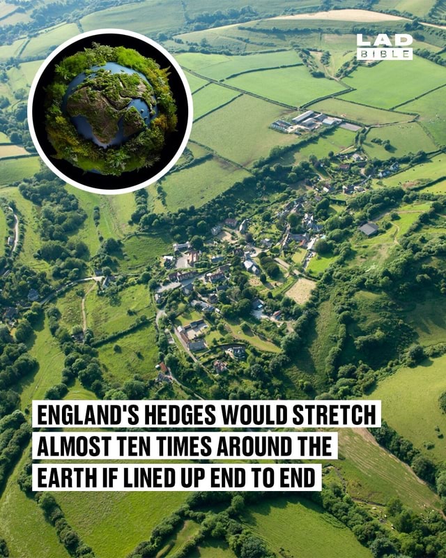 Thats a lot of hedges According to a new map apparently the most ...