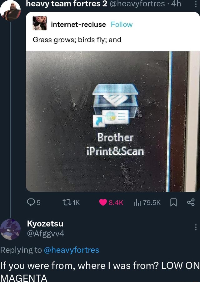 Heavy team fortres 2 @neavyiortres I Grass grows; birds fly; and ...