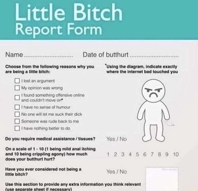 Little Bitch Report Form Dmopmmm - iFunny