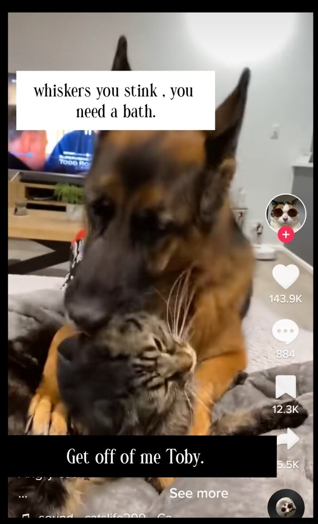 Whiskers you stink , you need a bath. We Get off of me Toby. See more ...