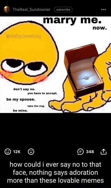 Sundowner (subseribe don't say no. you have to accept. be my spouse ...