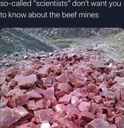 So-called 'scientists' don't want you to know about the beef mines - iFunny