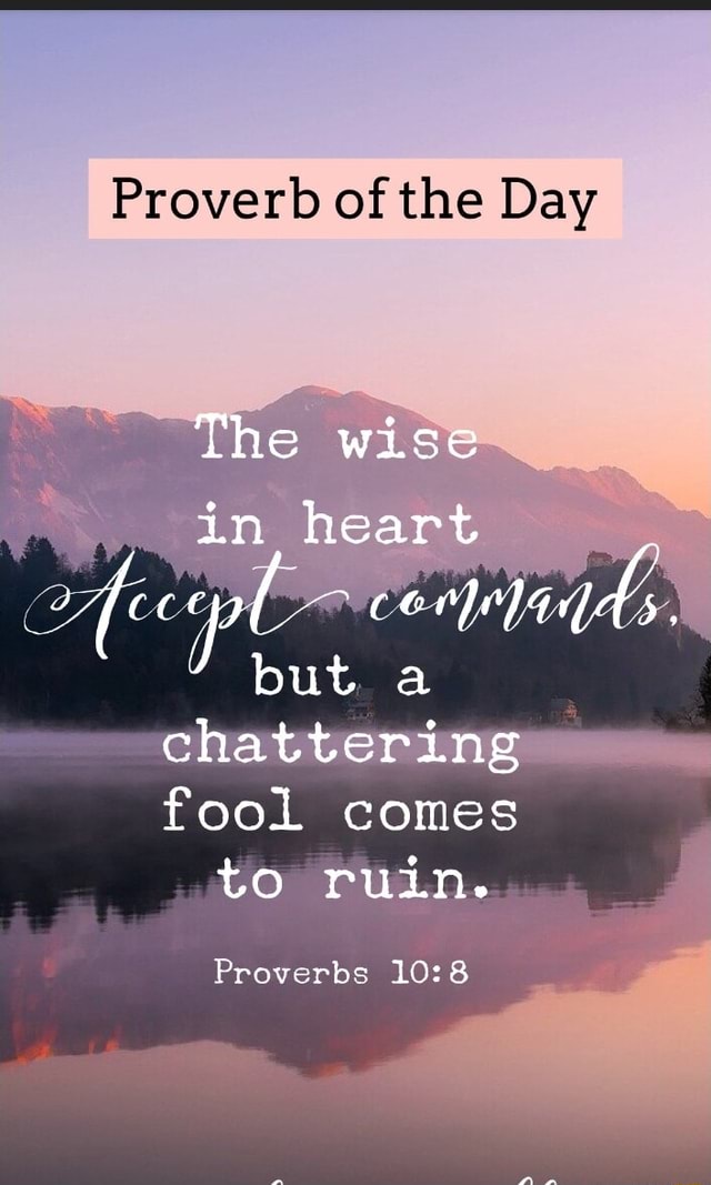 Proverb of the Day 'The wise~_ in heart but a chattering fool comes to ...