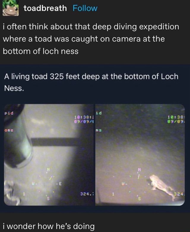 Toadisreath Follow i often think about that deep diving expedition ...