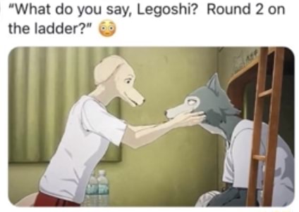 "What do you say, Legoshi? Round 2 on the ladder?" - iFunny