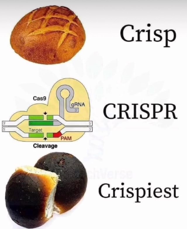 Happy Wednesday 🦅🦅🦅 @theartoffugacity - Crisp CRISPR Cleavage Crispiest ...