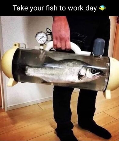 Take your fish to work day - iFunny