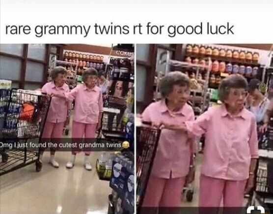Rare grammy twins rt for good luck - iFunny