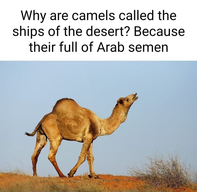 Why are camels called the ships of the desert? Because their full of ...