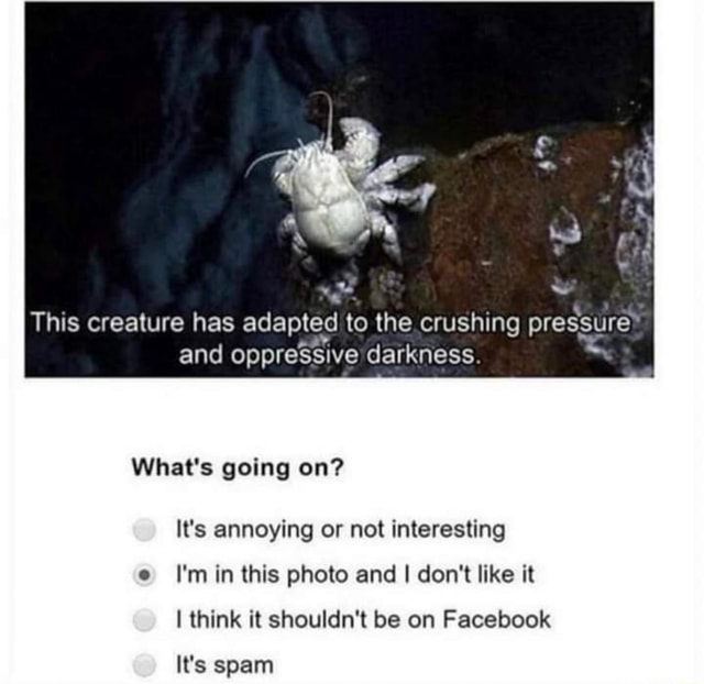 E This creature has adapted to the crushing pressure} and oppressive ...