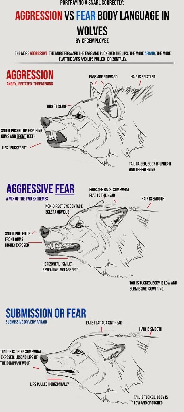 PORTRAYING A SNARL GORREGTLY: AGGRESSION VS FEAR BODY LANGUAGE IN ...