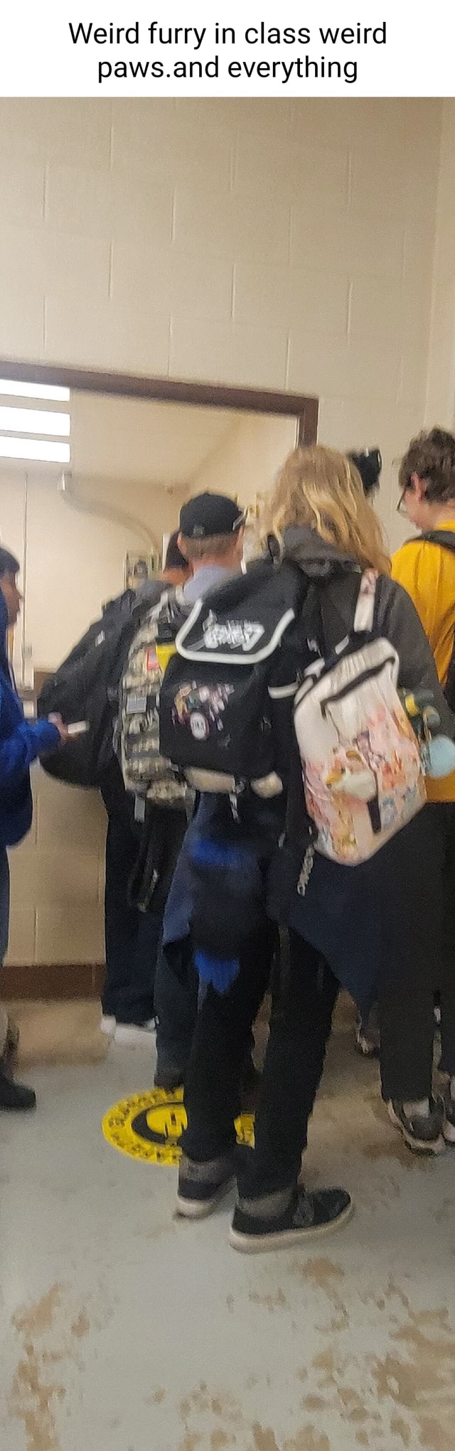 Weird furry in class weird paws.and everything Be - iFunny