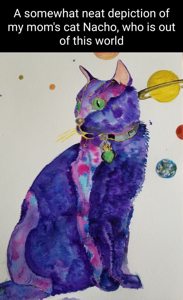 A somewhat neat depiction of my mom's cat Nacho, who is out of this ...