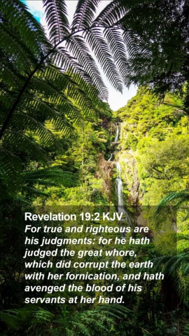 Revelation KJV., For true and righteous are his judgments: for he hath ...