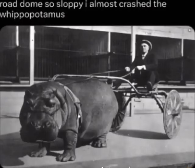 Road dome so sloppy I almost crashed the whippopotamus - iFunny