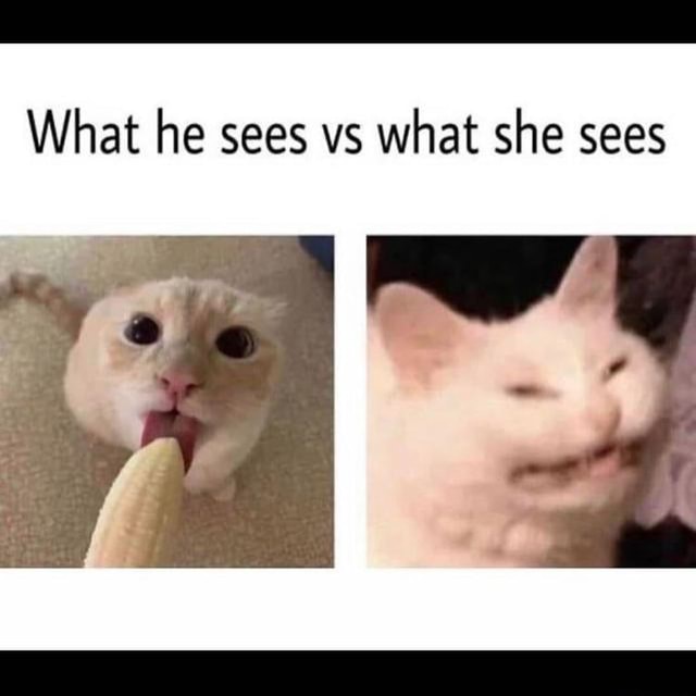 What he sees vs what she sees - iFunny