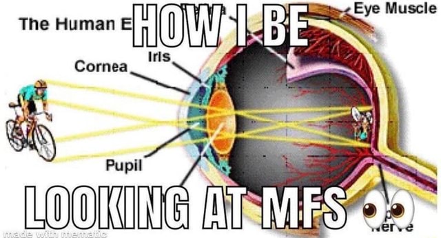 Muscle The Cornea - iFunny