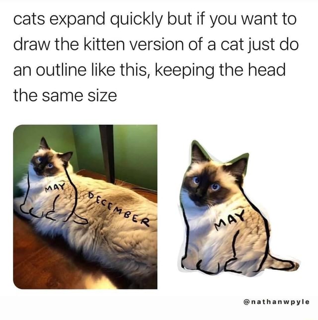 December’s yearly Dump - cats expand quickly but if you want to draw ...