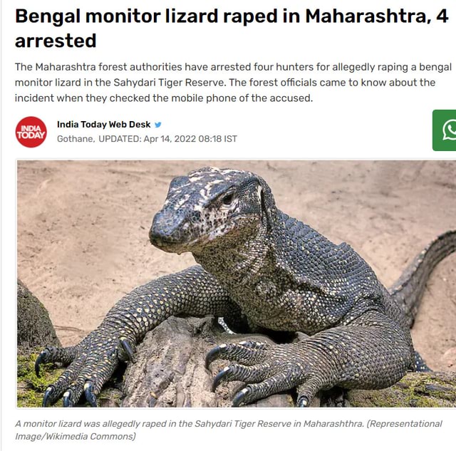 Bengal monitor lizard raped in Maharashtra, 4 arrested The Maharashtra ...