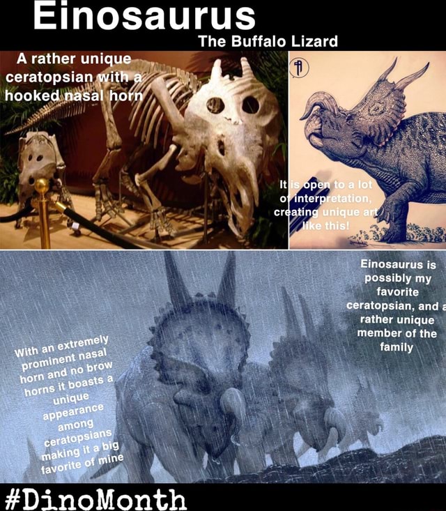Einosaurus The Buffalo Lizard A rather unique ceratopsian witha I ...