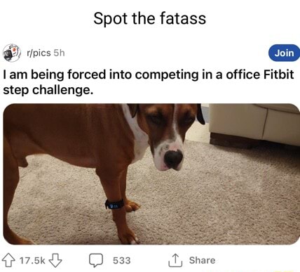 Spot the fatass vics sh am being forced into competing in a office Fitbit step challenge. 533 ty ...