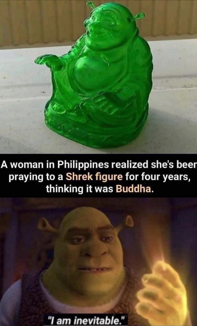 Meme - A woman in Philippines realized she's beer praying to a Shrek ...