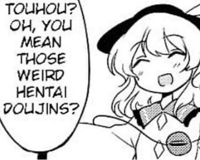 TOUHOU? OH, YOU MEAN THOSE WEIRD HENTAI - iFunny