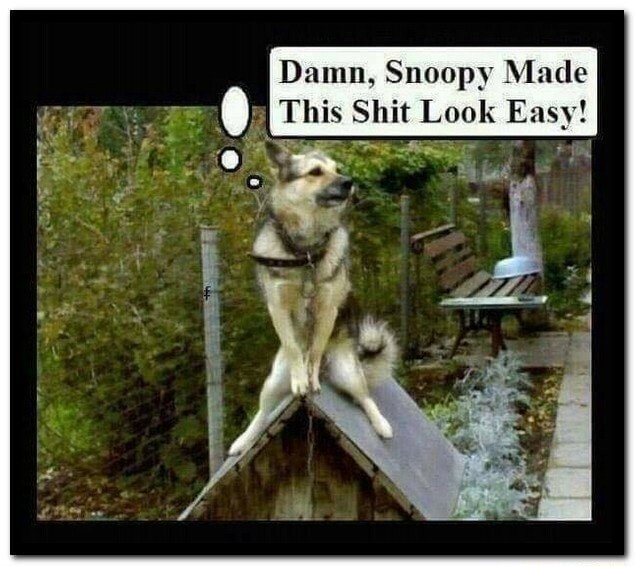 Damn, Snoopy Made This Shit Look Easy! - iFunny