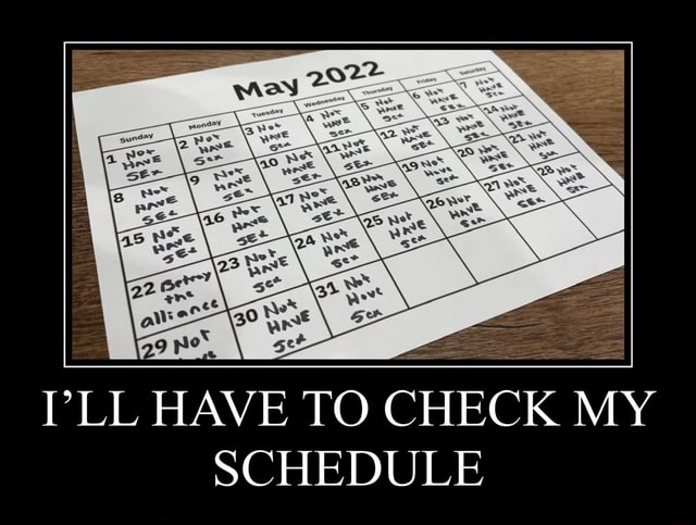 PLL HAVE TO CHECK MY SCHEDULE - iFunny