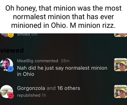 Oh honey, that minion was the most normalest minion that has ever ...